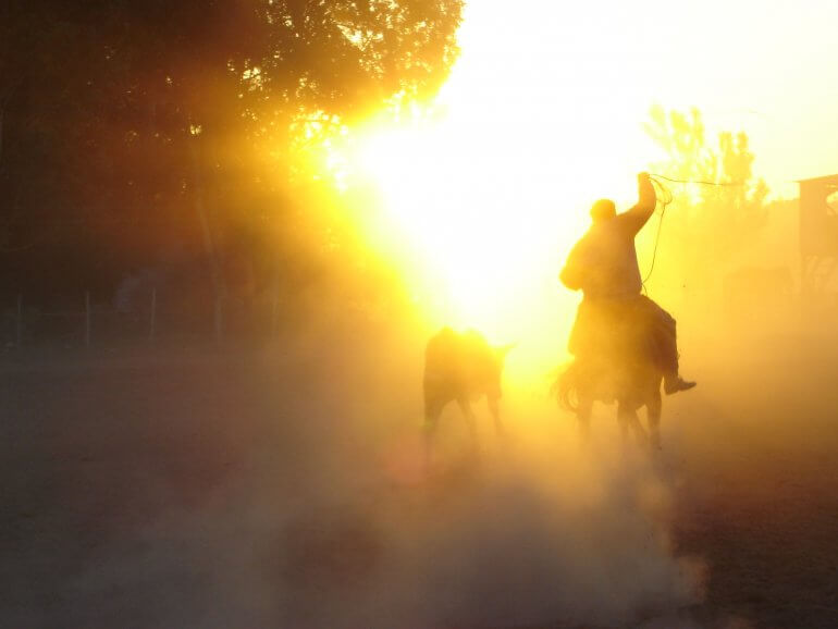 The Fate of Gauchos and Cattle Ranching in Southern Brazil