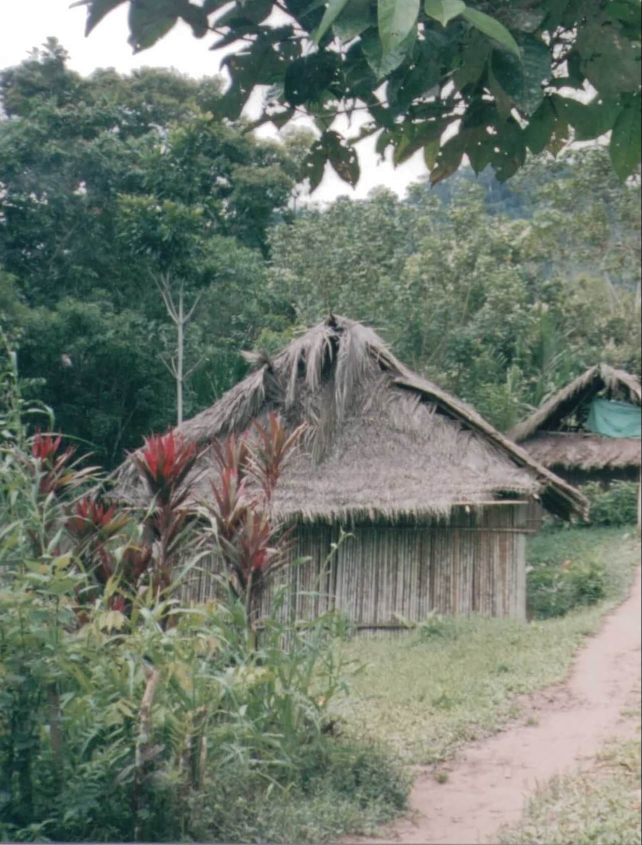 The Changing Nature of Indigenous Environmental Behavior